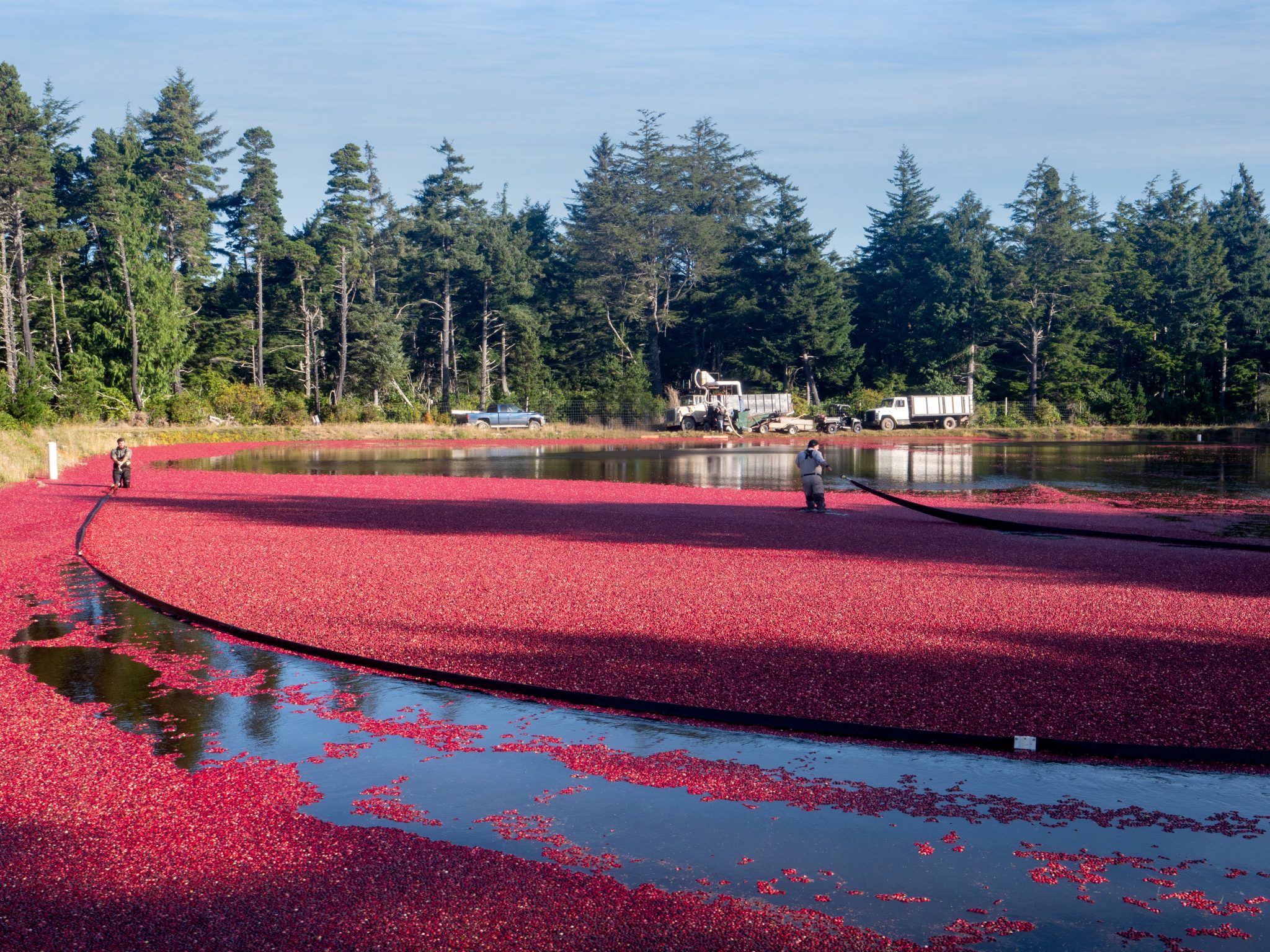 Fall in Cape Cod: Things to Do in Cape Cod in the Fall - The Petite ...