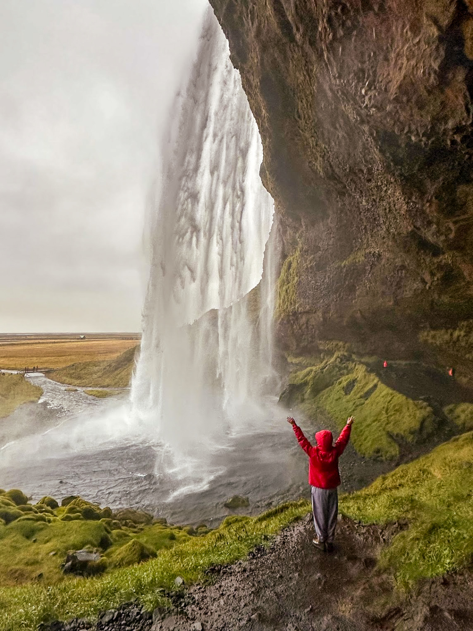 14 Best Things to Do in Vik, Iceland - The Petite Wanderer