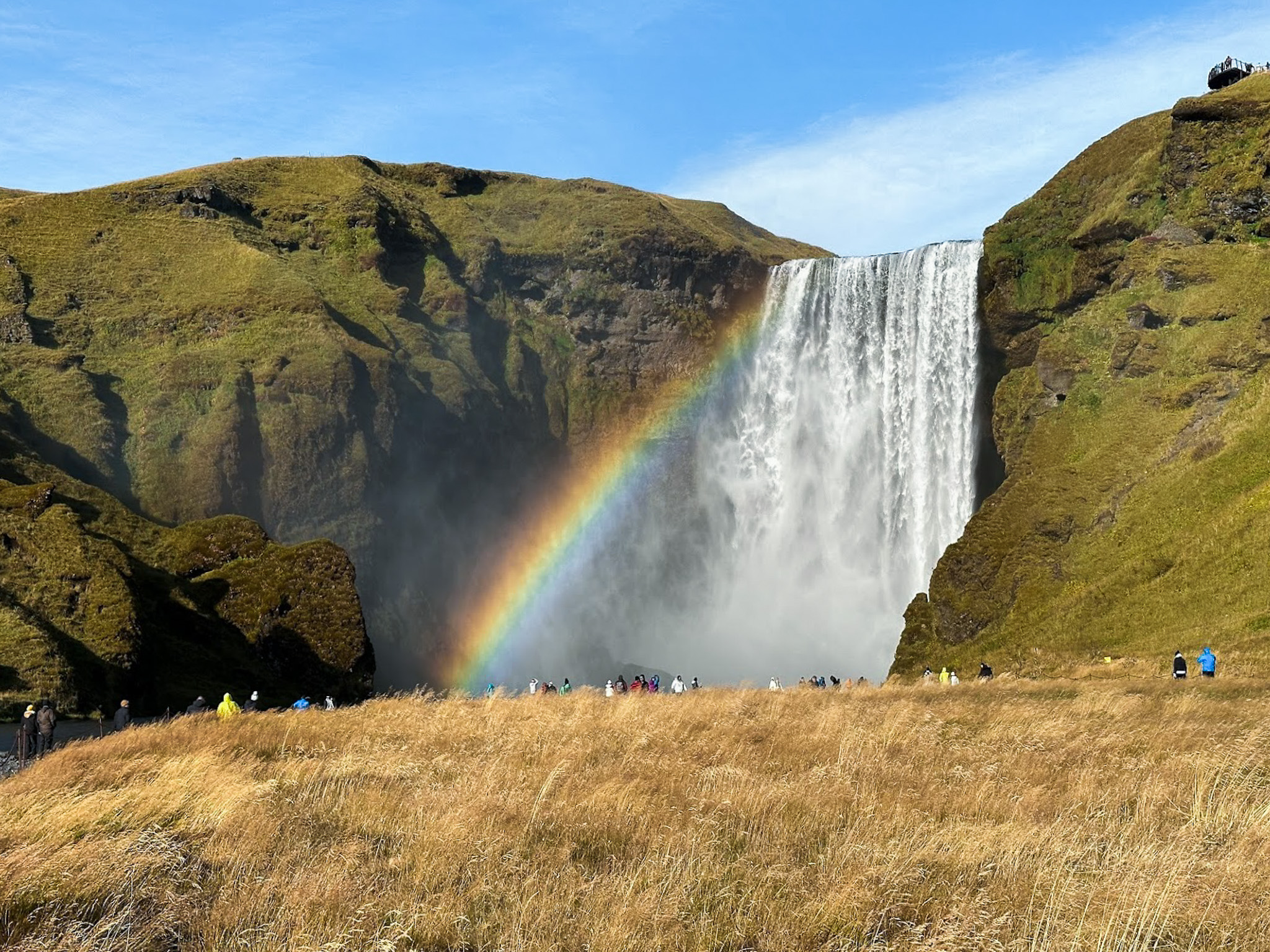 14 Best Things to Do in Vik, Iceland - The Petite Wanderer